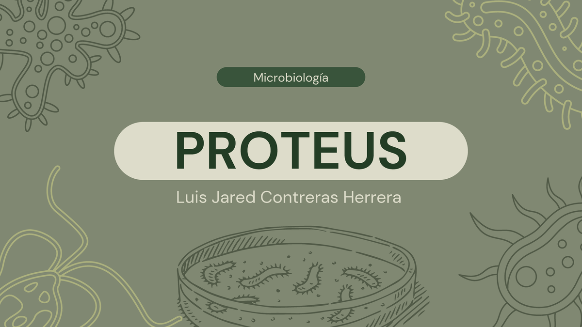 presentacion proteus - Luis Jared Contreras Herrera Microbiología ...