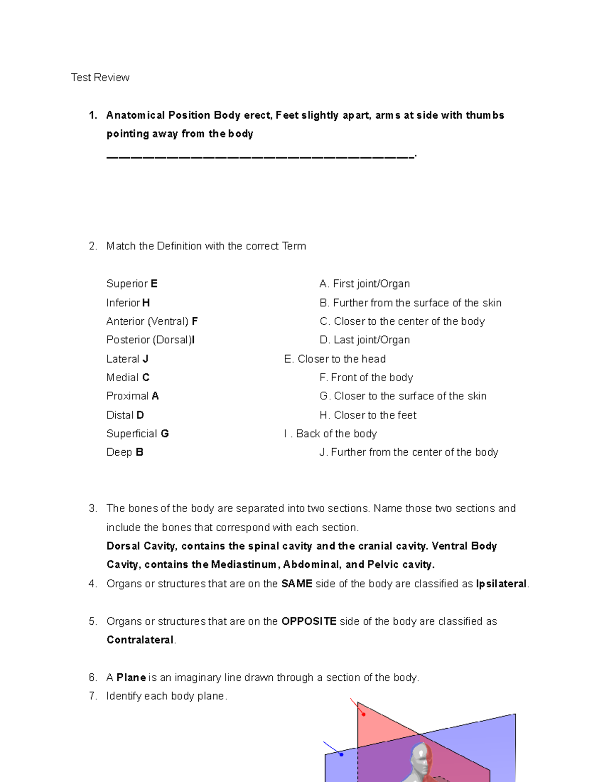 A+P Test 1 Review - Test Review Anatomical Position Body erect, Feet ...