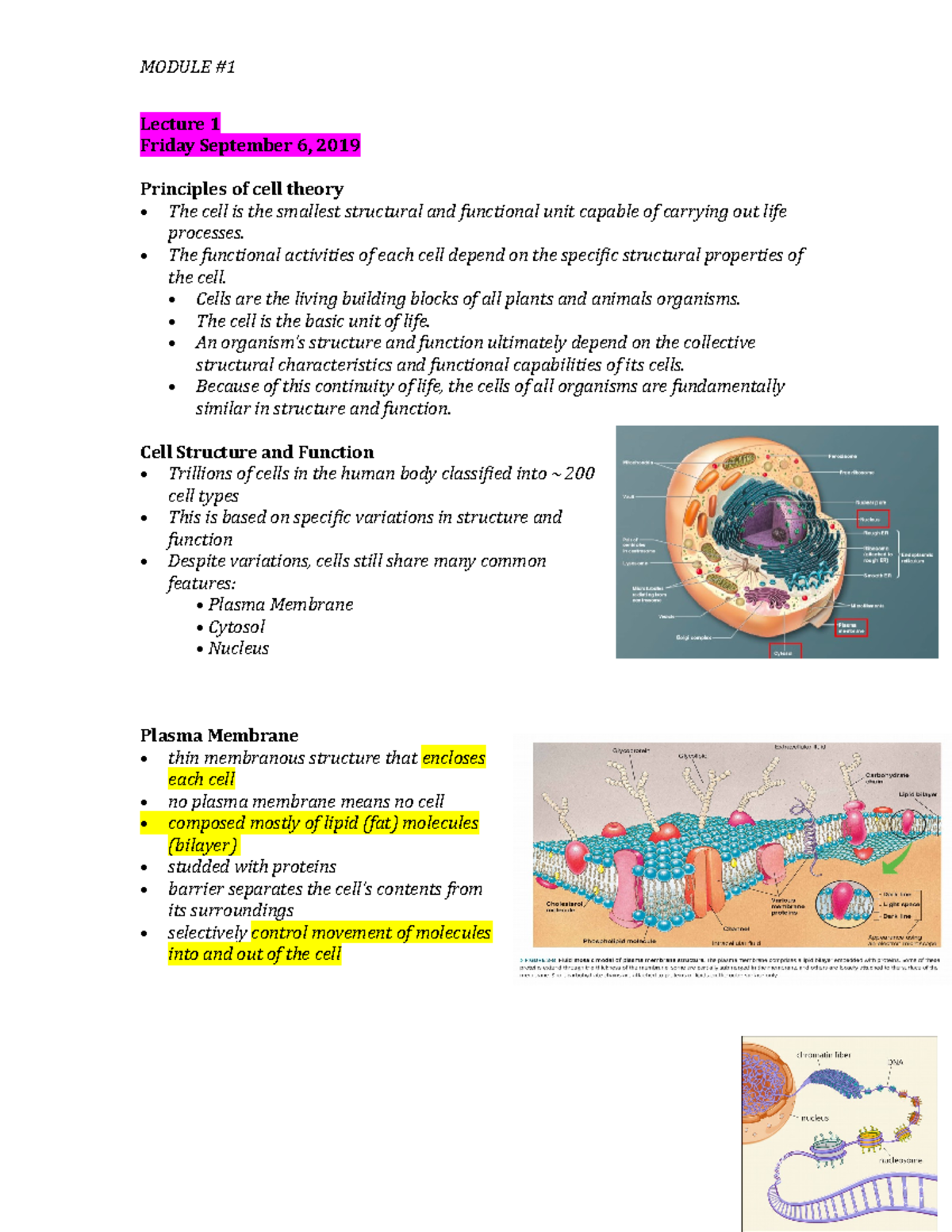 Module 1 - Lecture notes 1-10 - Lecture 1 Friday September 6, 2019 ...