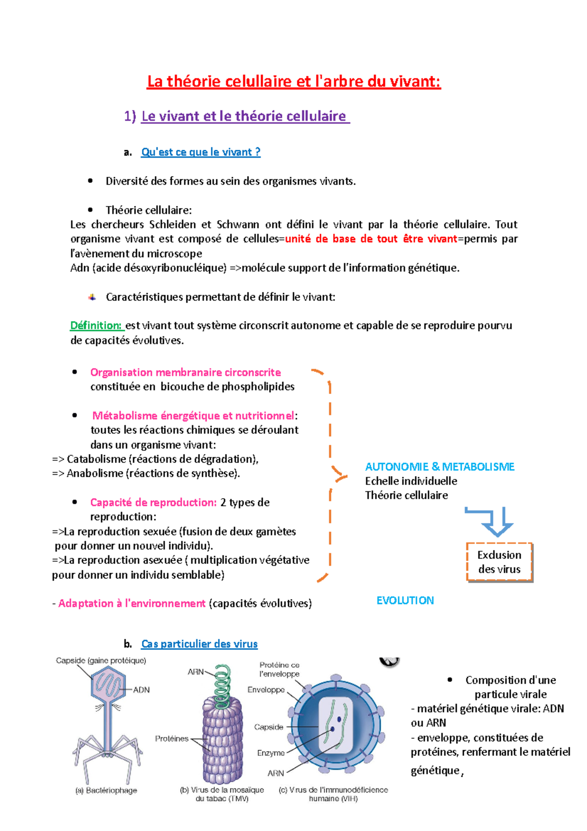 Cours 1 Organisation cellulaire du vivant - La théorie celullaire et l ...