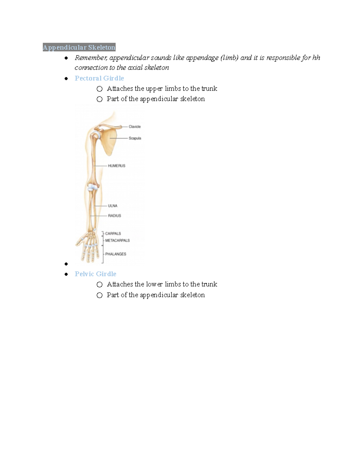 Chapter 8 The Skeletal System (The Appendicular Skeleton ...