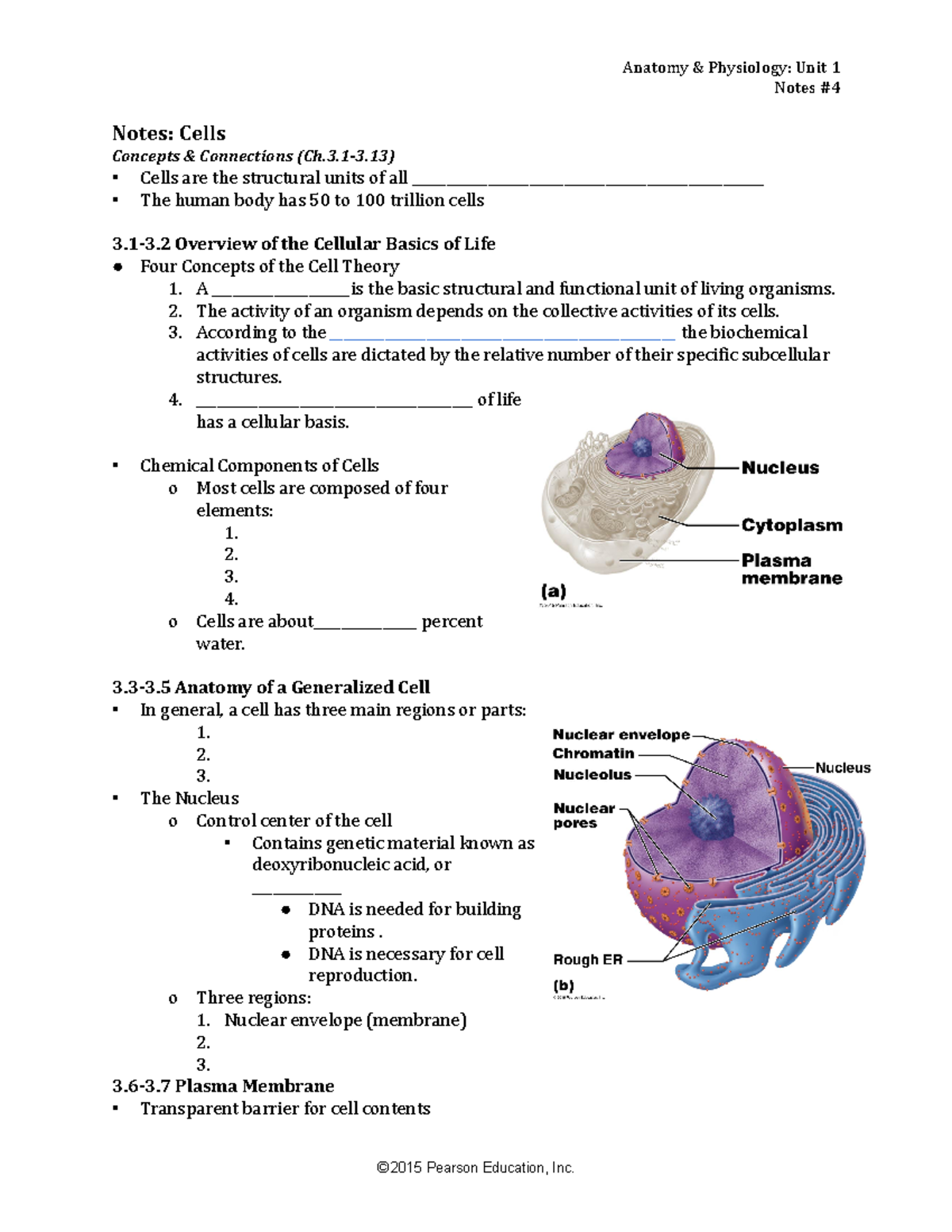Student A&P Flipped Notes #4-Cells 2 - Notes Notes: Cells Concepts ...