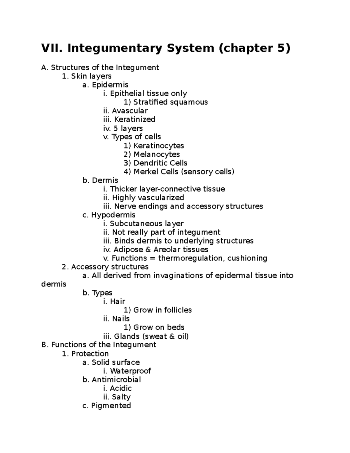 Chapter 5 - Melissa Storm - VII. Integumentary System (chapter 5) A ...