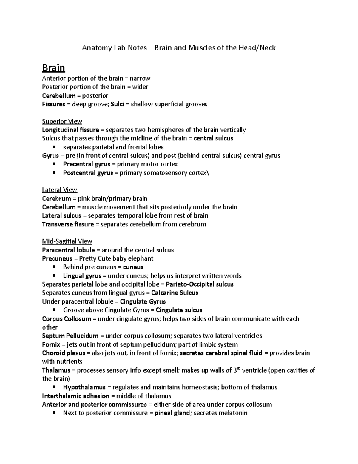 Anatomy Lab Notes - brain and muscles of the head:neck - Anatomy Lab ...