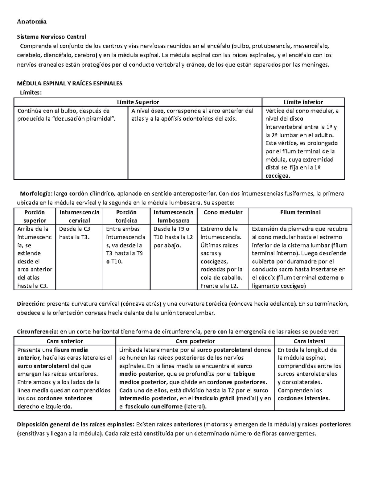 Anatomía- Sistema Nervioso Central - Warning: TT: undefined function: 32 Warning: TT: undefined ...