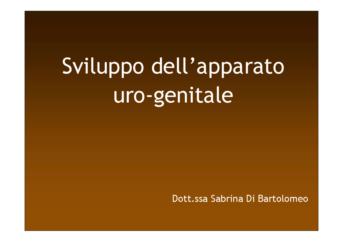 sviluppo apparato Urogenitale - Sviluppo dell’apparato uro-genitale ...