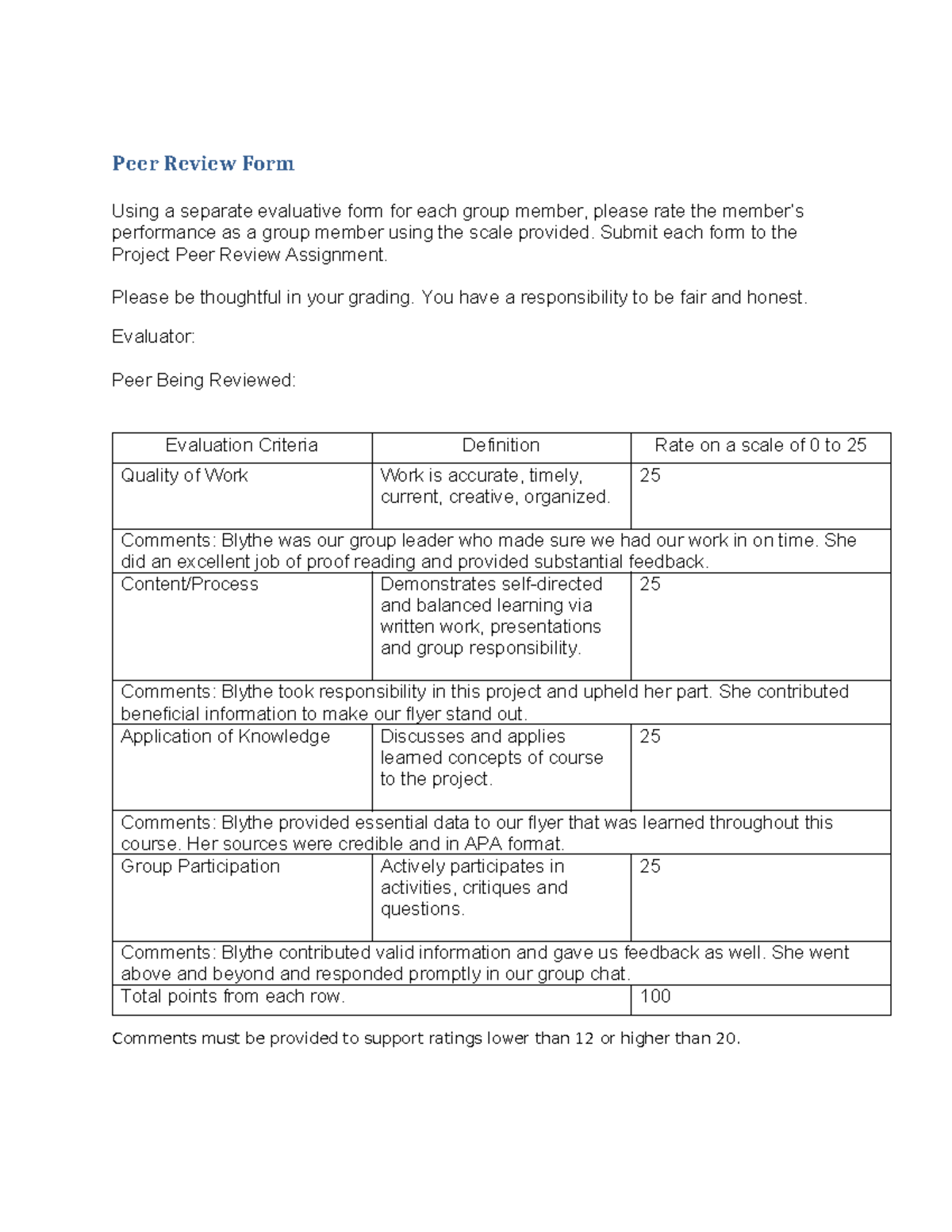 Project Peer Review Form - Peer Review Form Using a separate evaluative ...