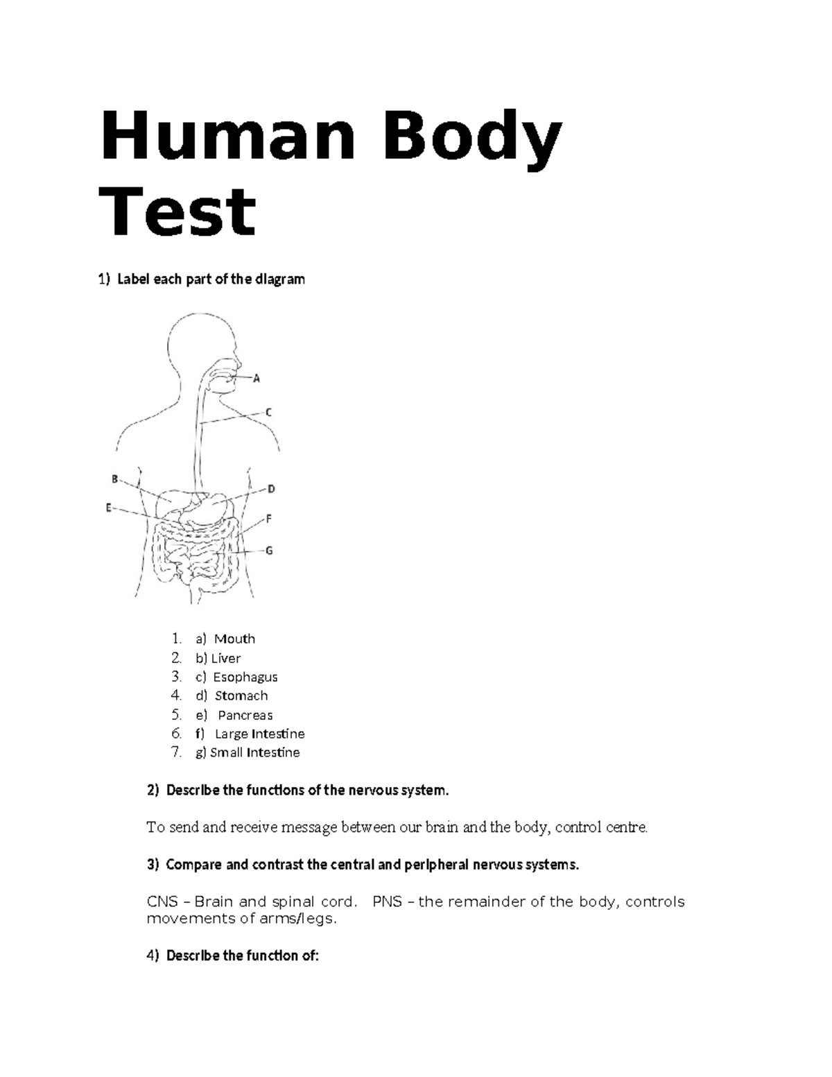 Module 3 - Anatomy Practice (c Answers) - Human Body Test 1) Label each ...