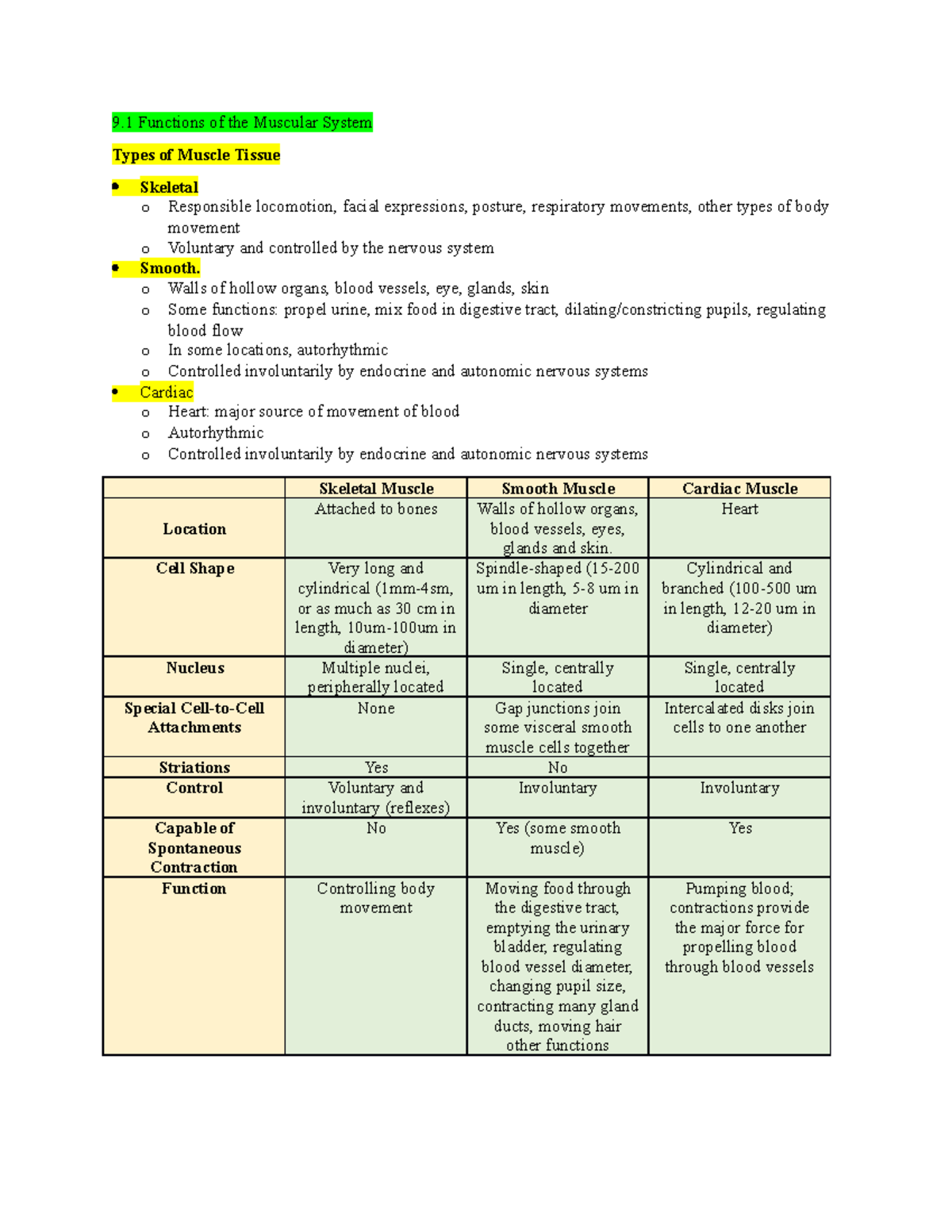 Muscular raw - Nothing special - 9 Functions of the Muscular System ...