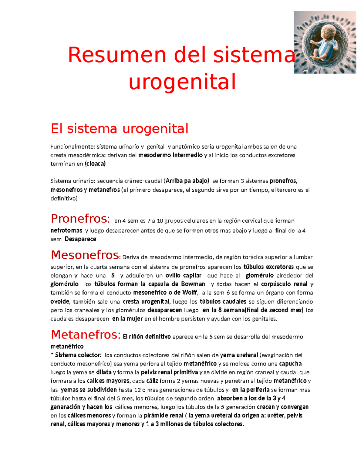 Resumen del sistema urogenital - Resumen del sistema urogenital El sistema urogenital - Studocu