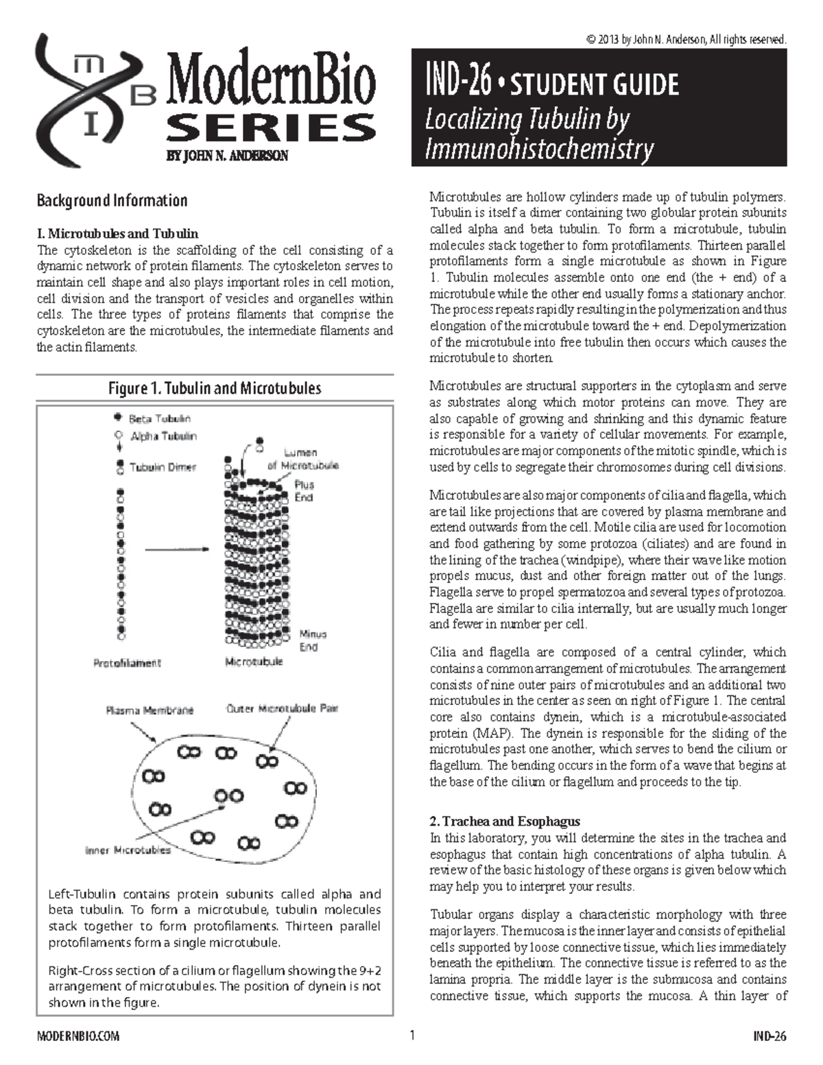 LAB 3 - lab - IND-26 • STUDENT GUIDE Localizing Tubulin by Immunohistochemistry Background - Studocu