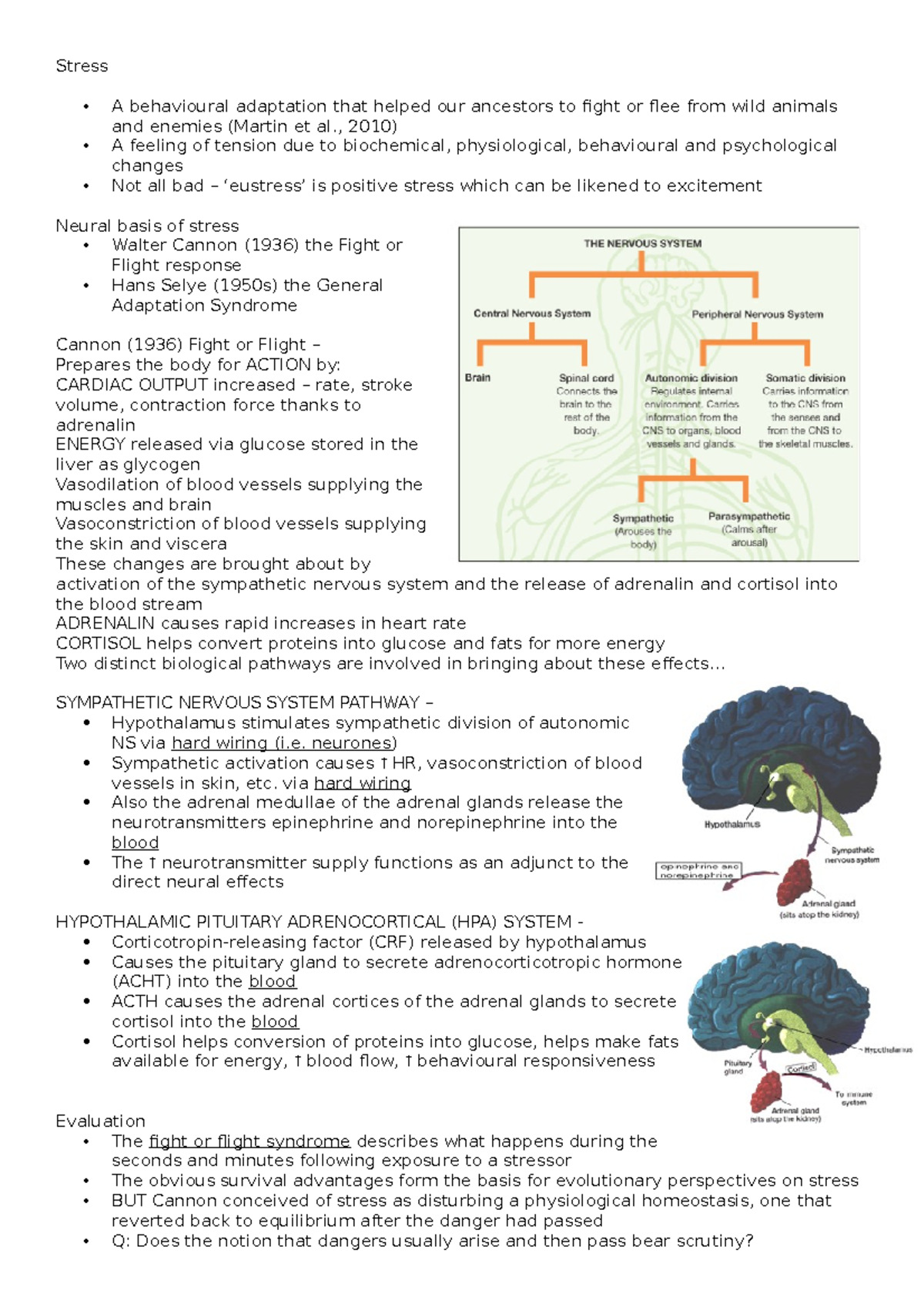Stress - Lecture notes 6 - Stress A behavioural adaptation that helped ...