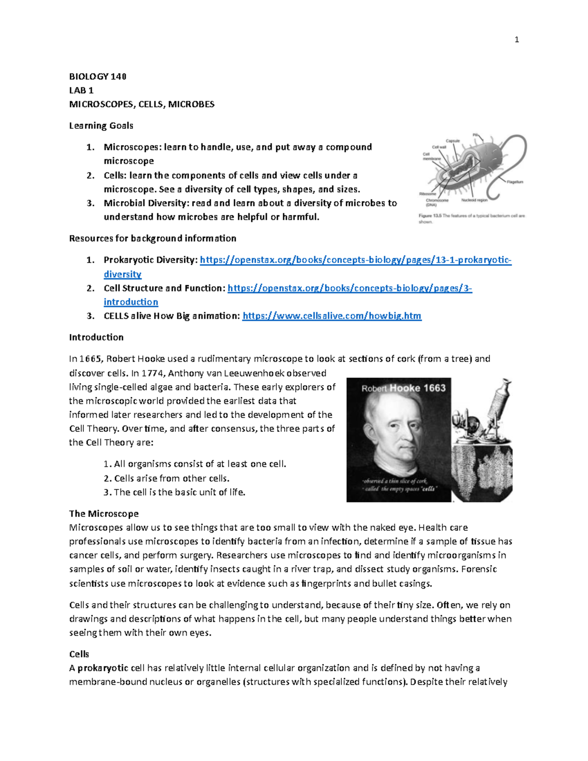 Biology 140 LAB 1 Microscopes Cells Bacterial Diversity - BIOLOGY 1 40 ...