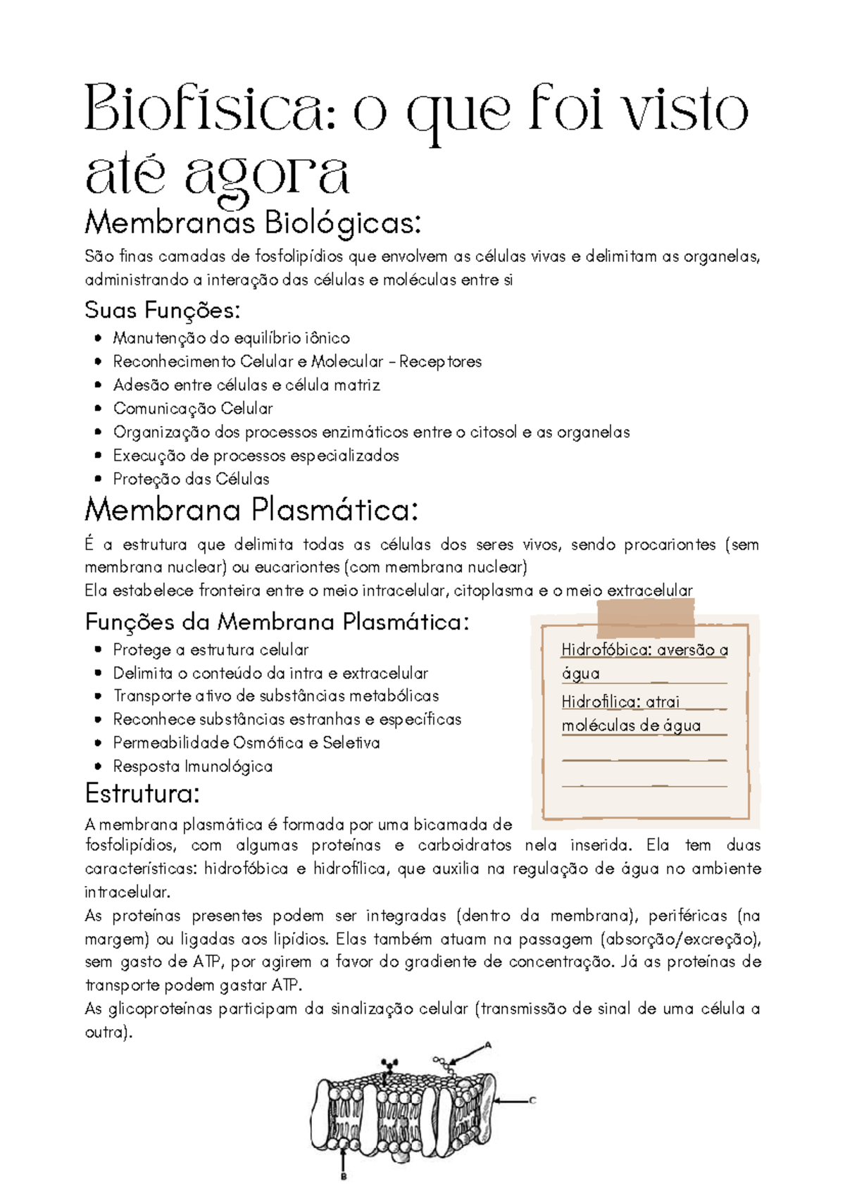 Biofísica o que foi visto ate agora Membranas Biológicas São finas ...