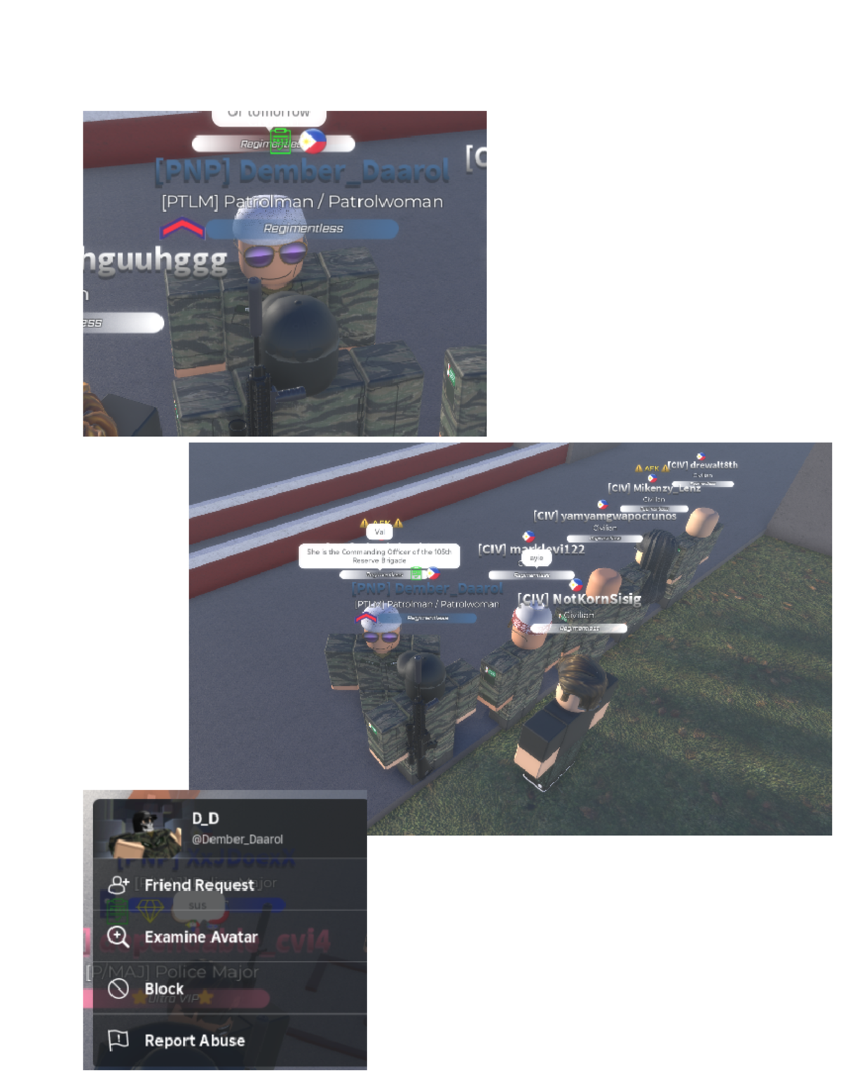 Evidence - Case File #50 - VI Regimenties Dember_Daarol Regimentless SS ...