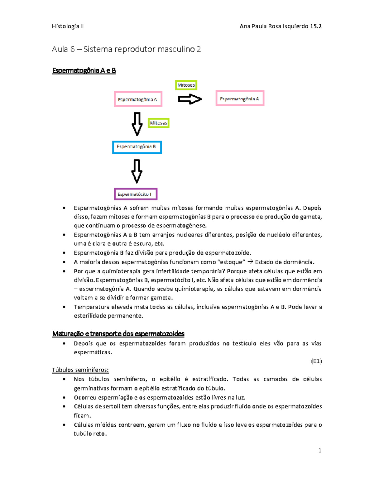 Aula 6 - Sistema reprodutor masculino 2 - Warning: TT: undefined function: 22 Warning: TT ...