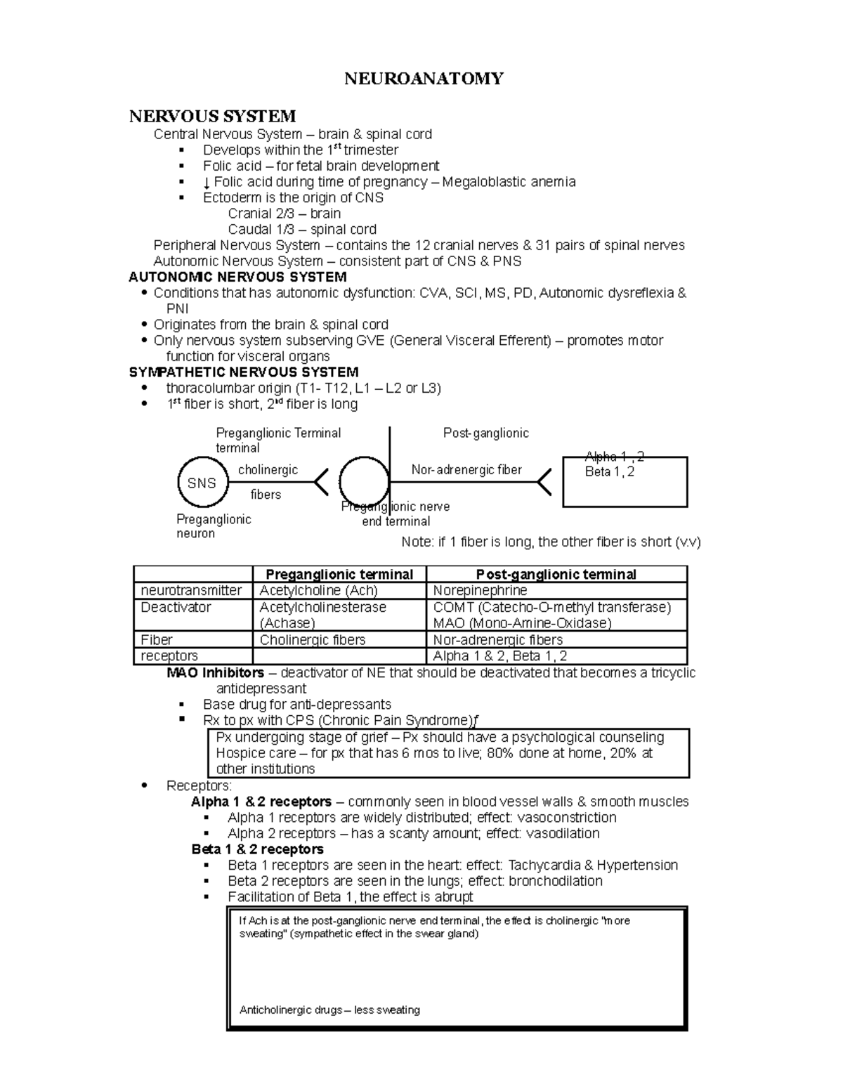 Neuroanatomy notes - NEUROANATOMY NERVOUS SYSTEM Central Nervous System ...