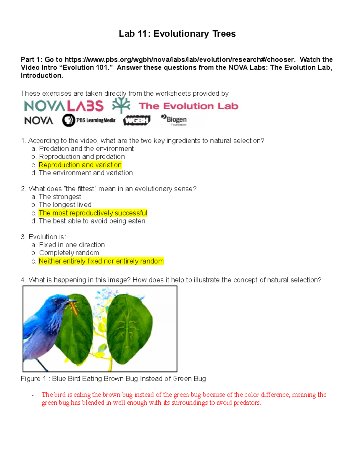 Lab 11 Evolutionary Trees - Lab 11: Evolutionary Trees Part 1: Go to - Studocu