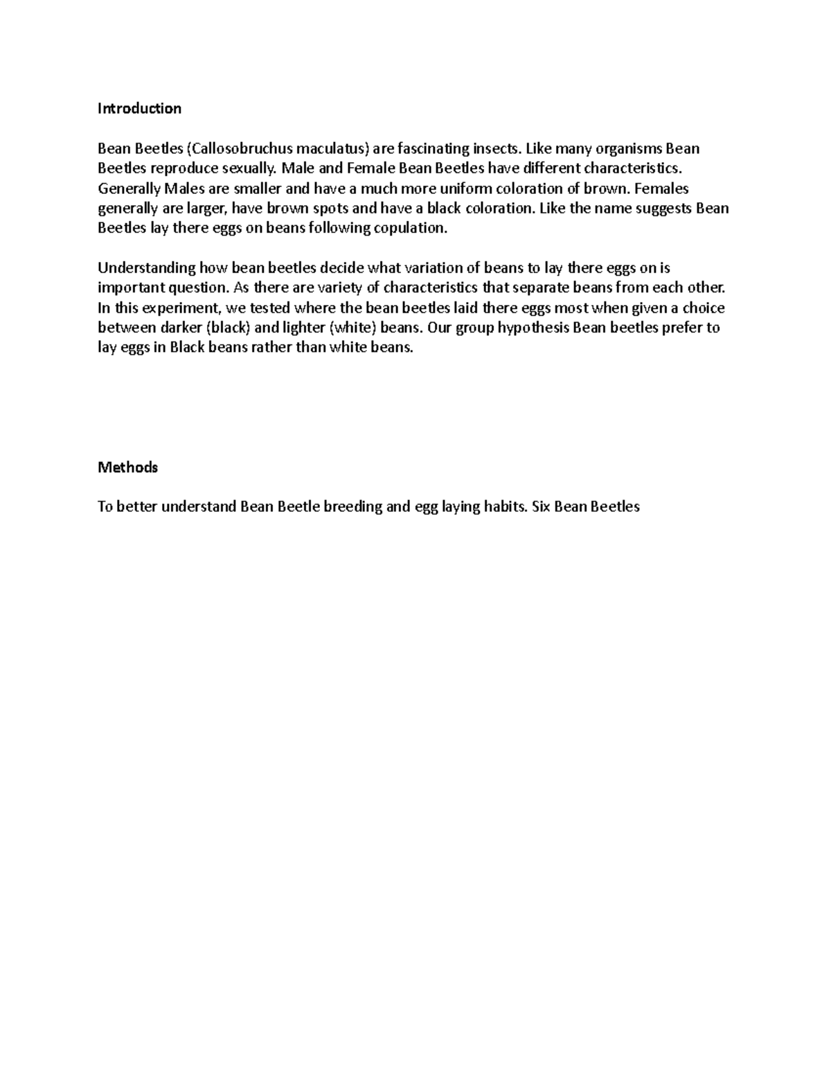 Bean Beetles - Bean - Introduction Bean Beetles (Callosobruchus ...