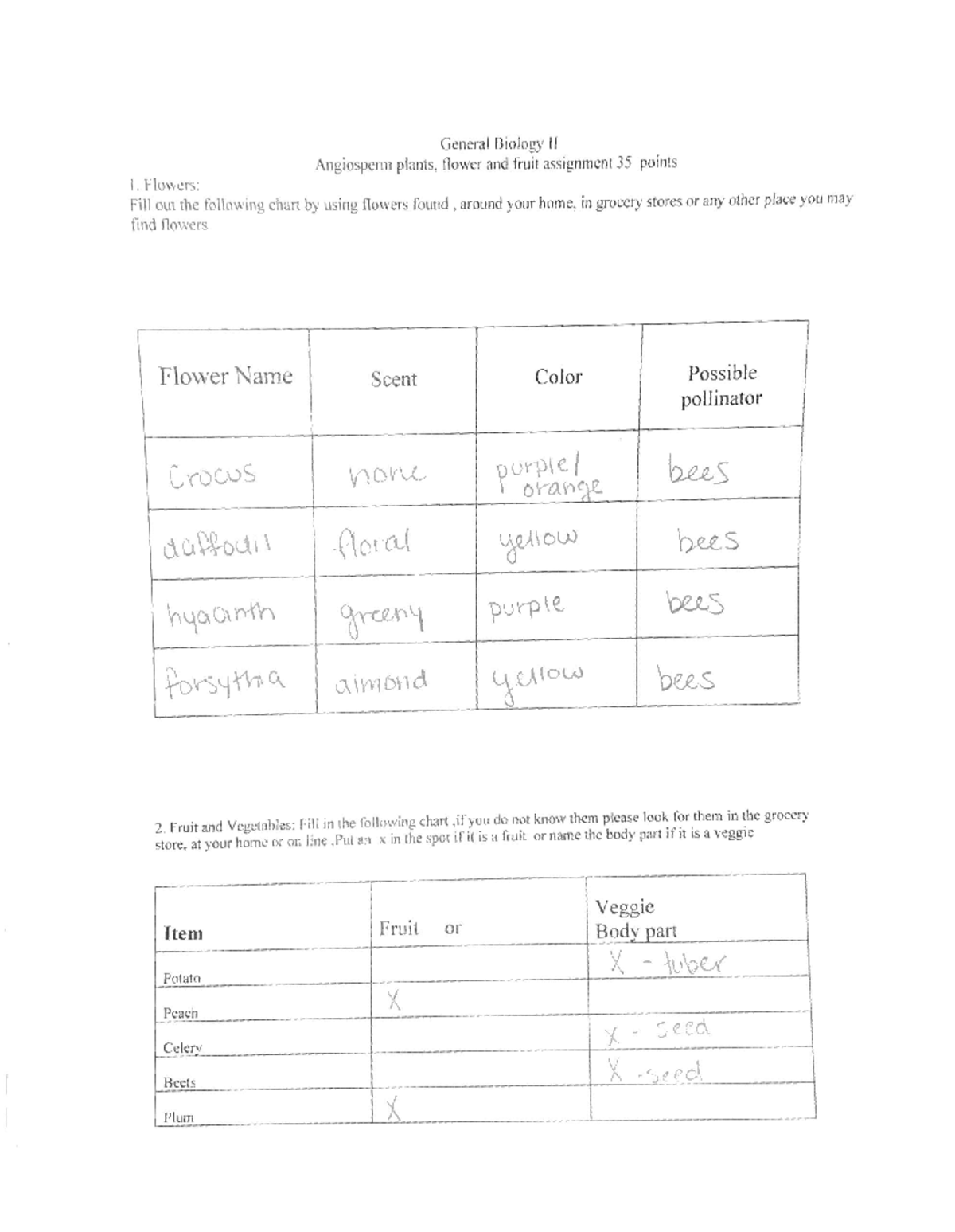 Flower assignment - BIO 152 - Studocu