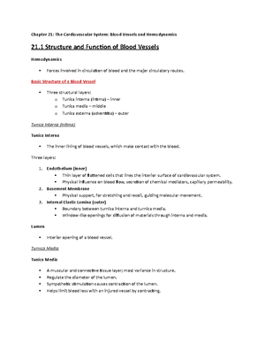 A&P II Chapter 19 Circulatory System, Blood - Chapter 19, Blood I. II ...