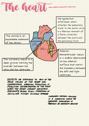Skeletal system - STORAGE OF MINERALS- the calcium salts of bone ...