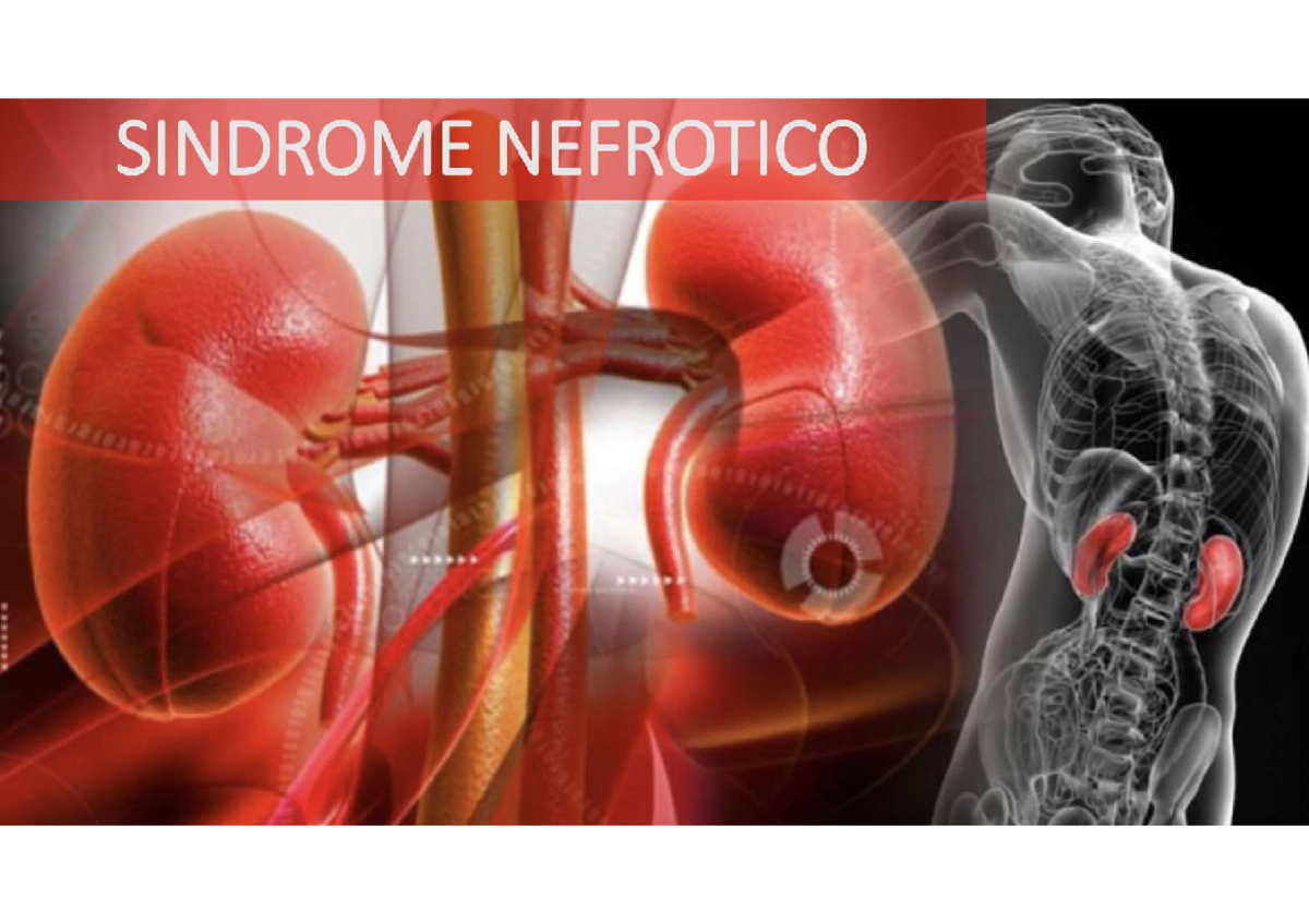 LUZU SX Nefri Y Nefro - - Studocu