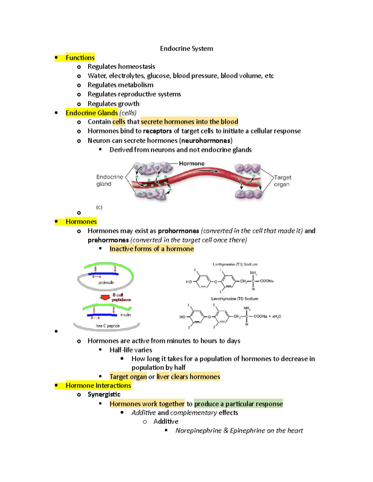 Endocrine System - Endocrine System Functions o Regulates homeostasis o ...