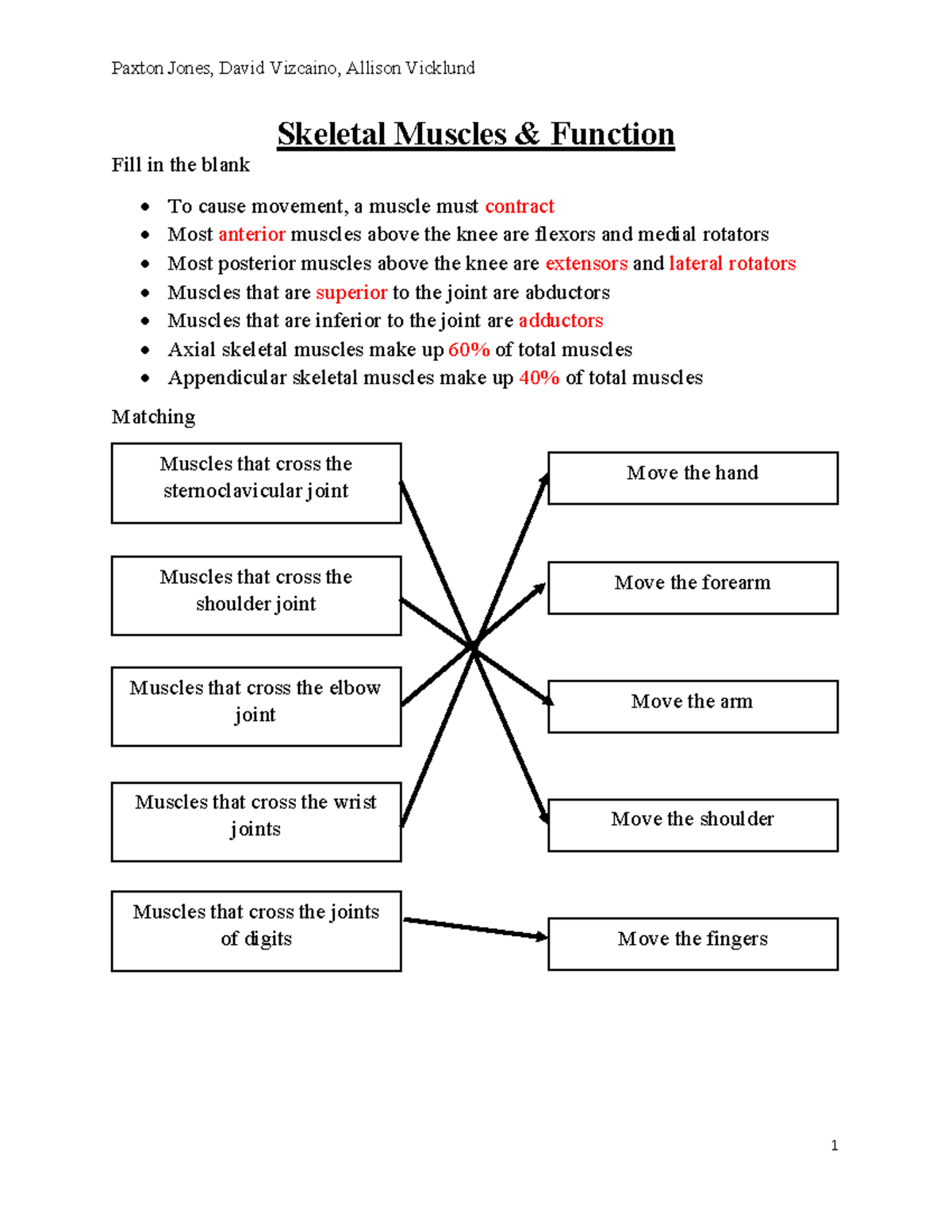Key RP 5 - Skeletal Muscles and Function - Skeletal Muscles & Function ...