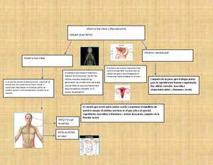 A - es una mapa mental del modulo 10 semana 3 - Yael Obed González Rangel POTENCIAS Y CONFLICTOS ...
