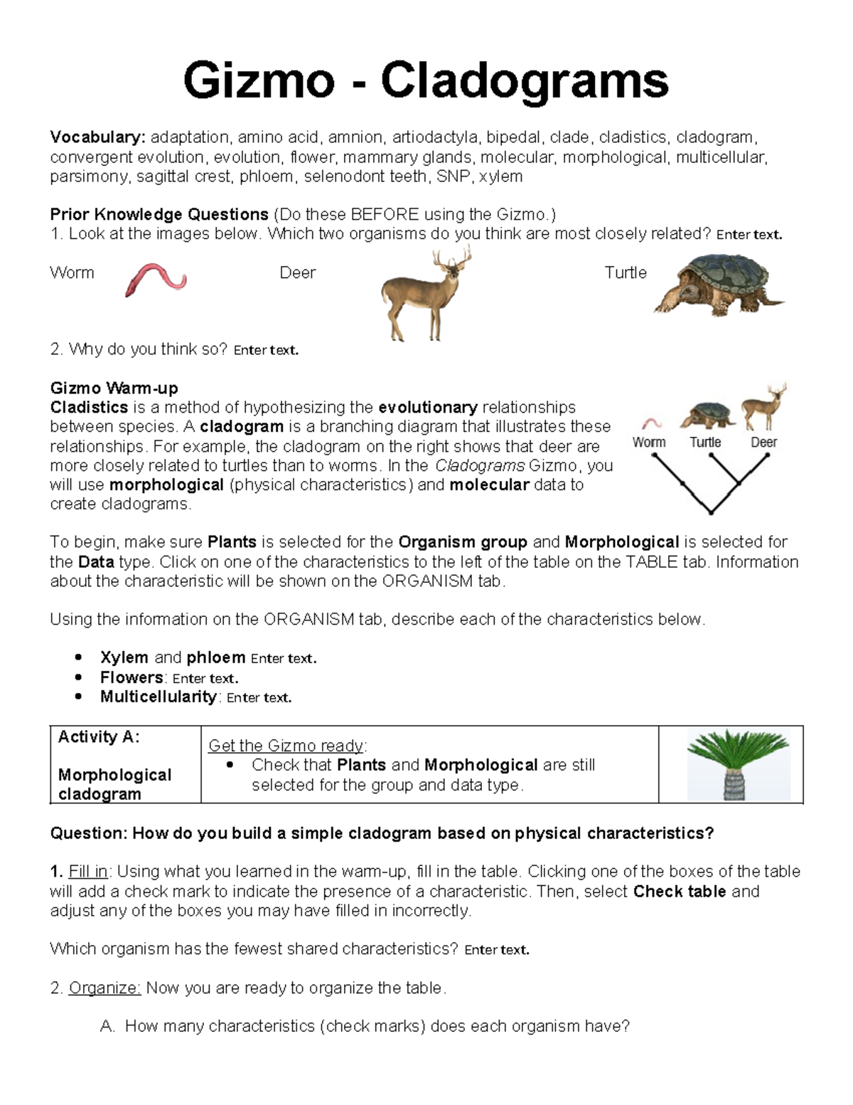 Gizmo - Cladograms - yhnhbhb h jjn - Gizmo - Cladograms Vocabulary ...
