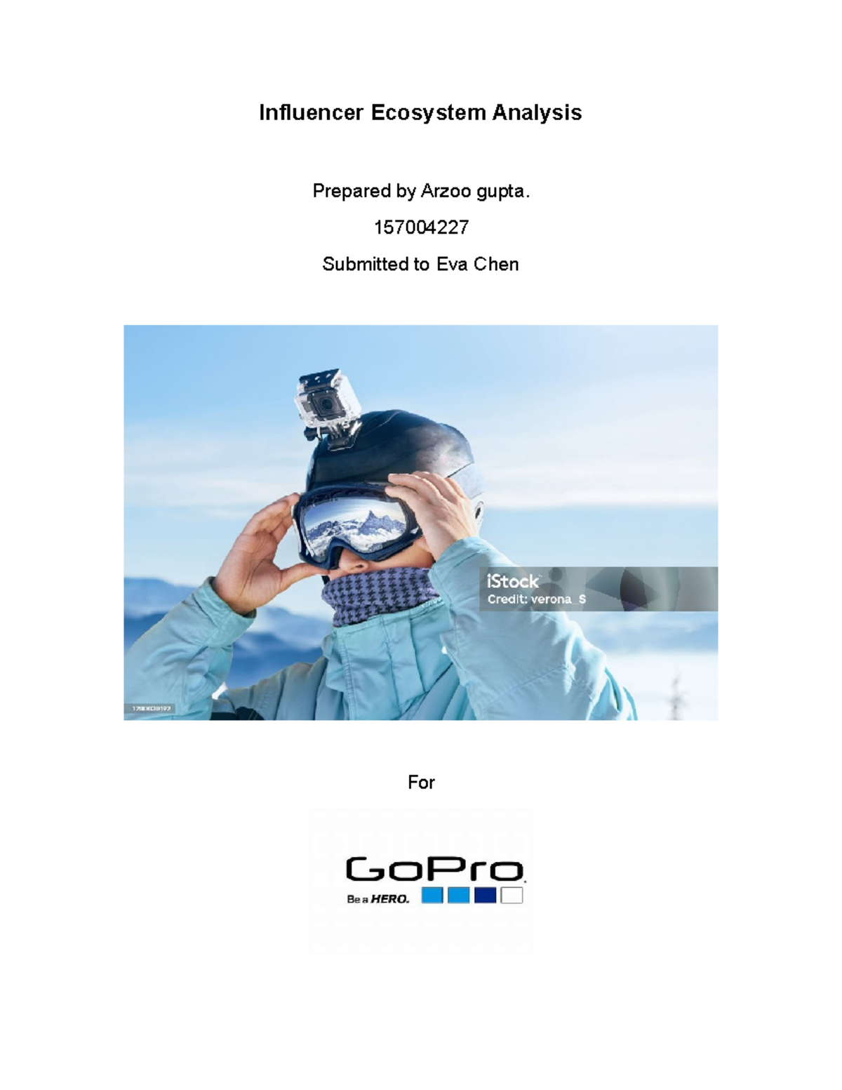 Influencer Ecosystem Analysis - Influencer Ecosystem Analysis Prepared ...