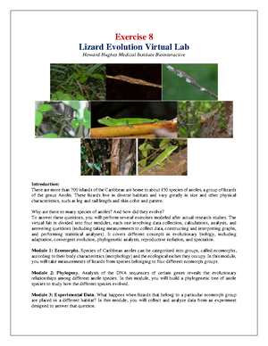 Fish embryos pics - Biology Department College of Arts & Sciences BIOL ...