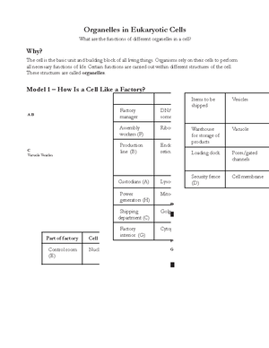 Gizmo-Diffusion - diffusion distance, and surface area in the patient’s ...
