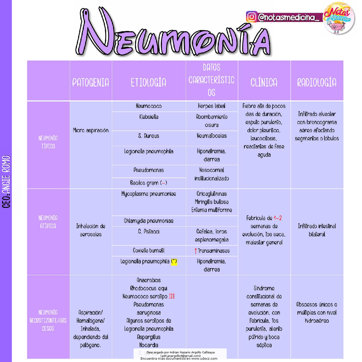 Organizador de tipos de neumonia - Semiología General y Especial I - CEO: ANGIE ROMO Descargado ...