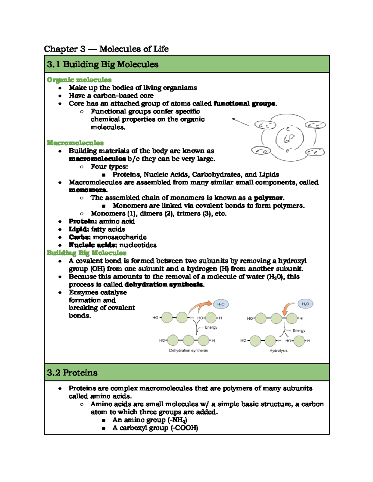 BIOL 100 Chapter 3 Notes - Molecules of Life - Chapter 3 — Molecules of ...