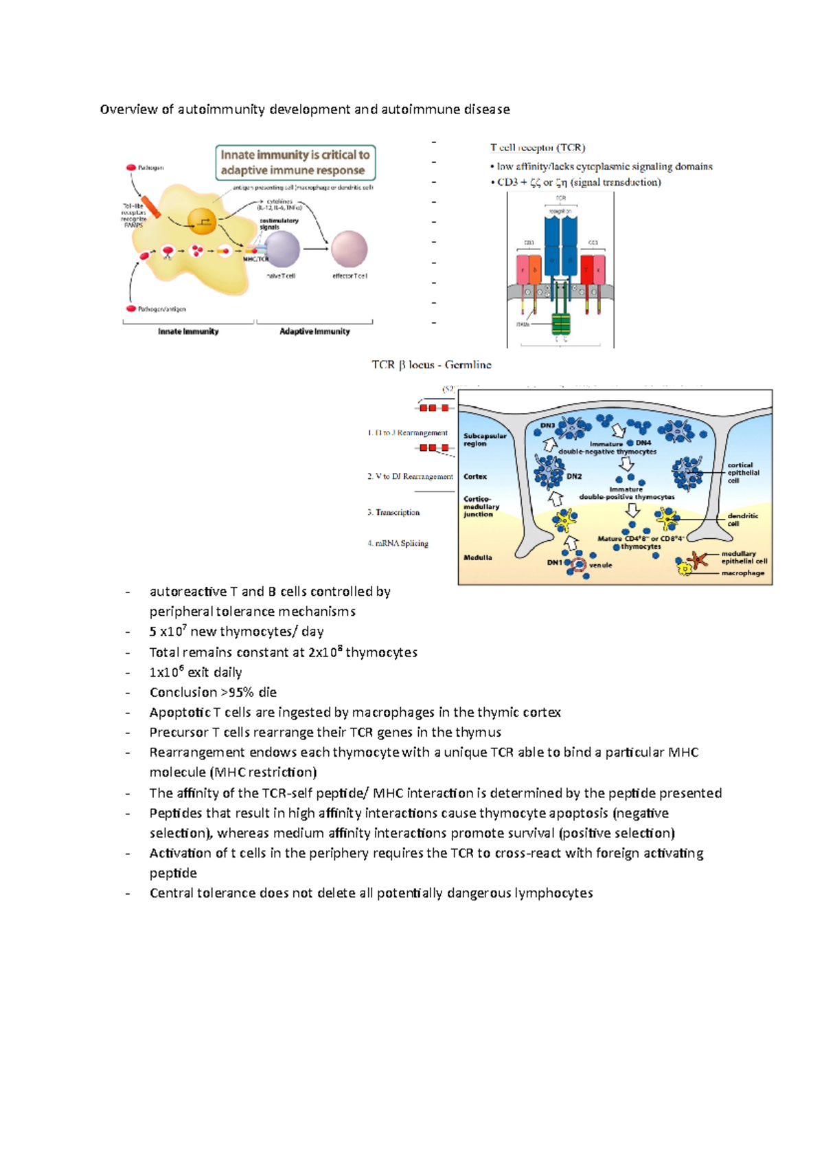 Inflammation - W1 overview of autoimmunity - Overview of autoimmunity ...