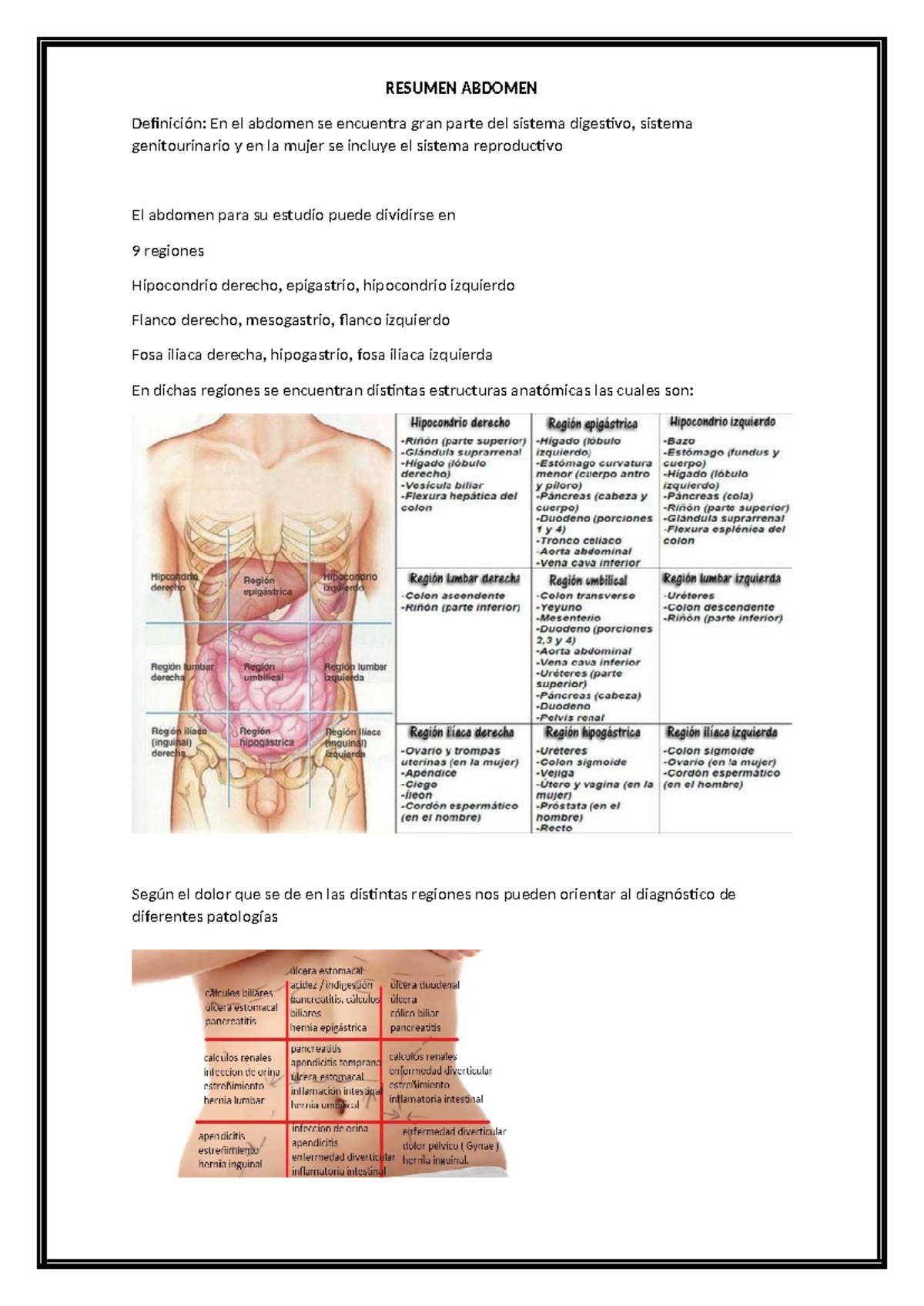 Resumen Abdomen - RESUMEN ABDOMEN Definición: En el abdomen se ...