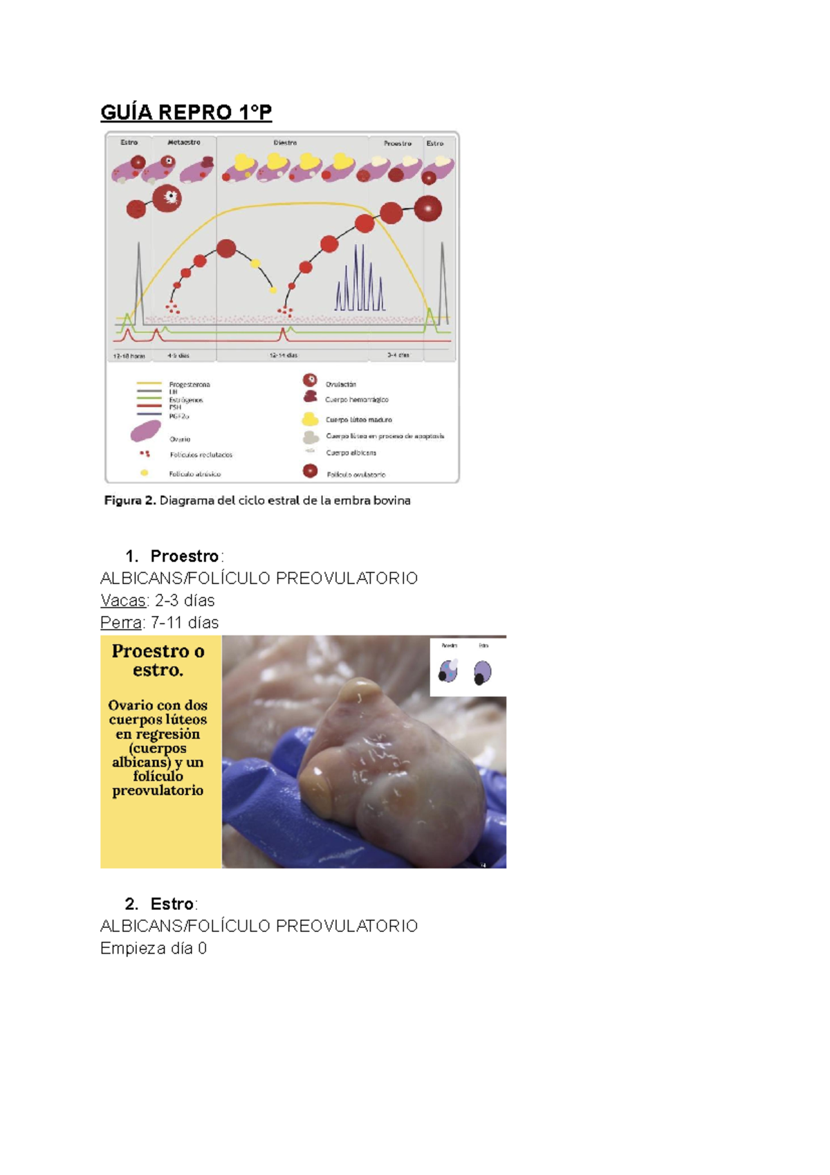 Guia tecnologia repro 1°P - GUÍA REPRO 1°P 1. Proestro: ALBICANS ...