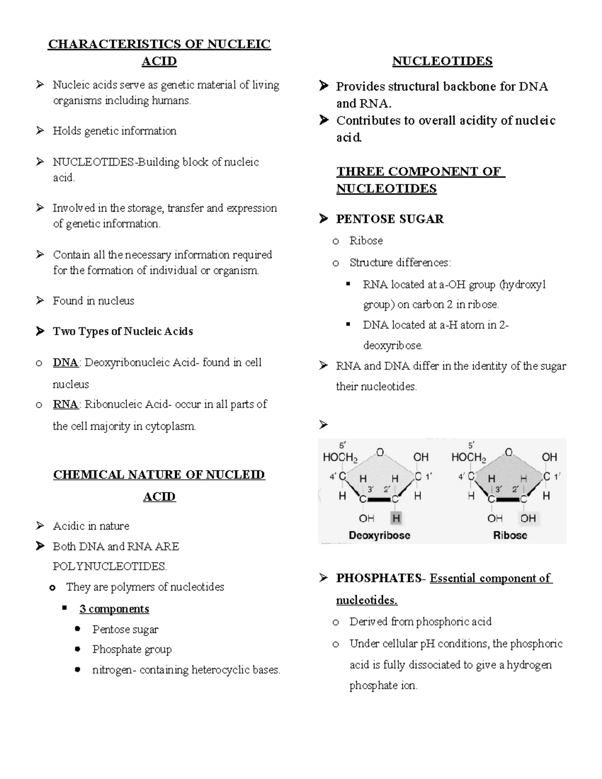 Nucleic ACID - lec/lab - CHARACTERISTICS OF NUCLEIC ACID Nucleic acids ...