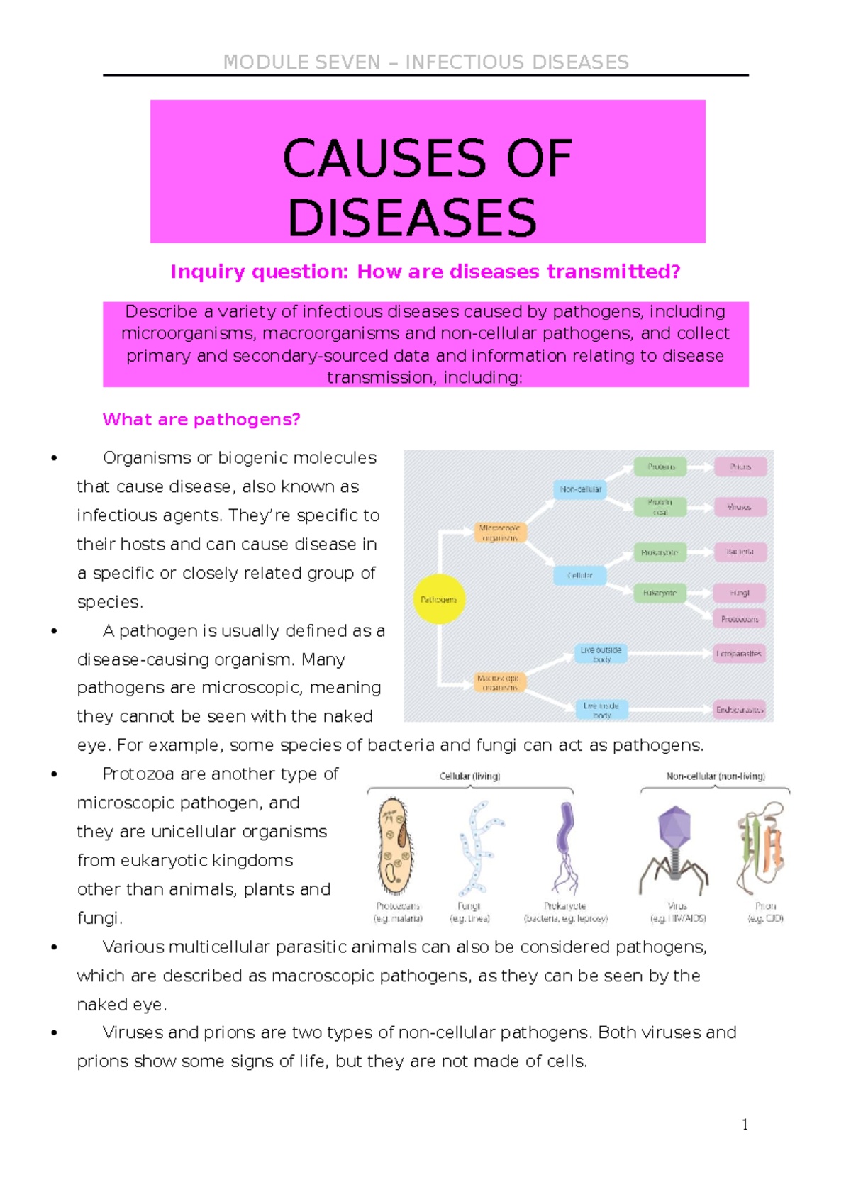 Module 7- Infectious diseases - Inquiry question: How are diseases ...