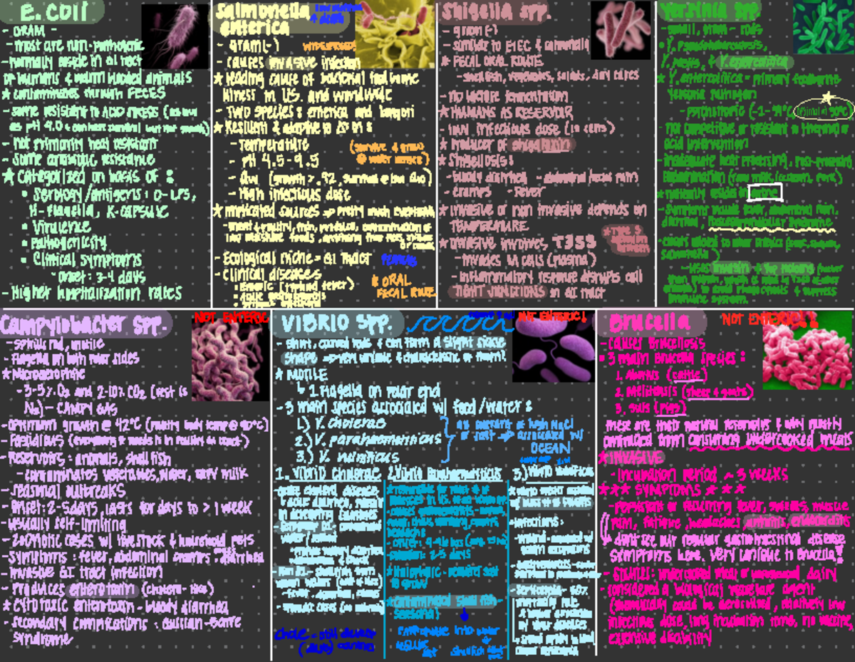 Food Microbiology Organisms Study Guide - I & I 5 I I & C 2 - Studocu