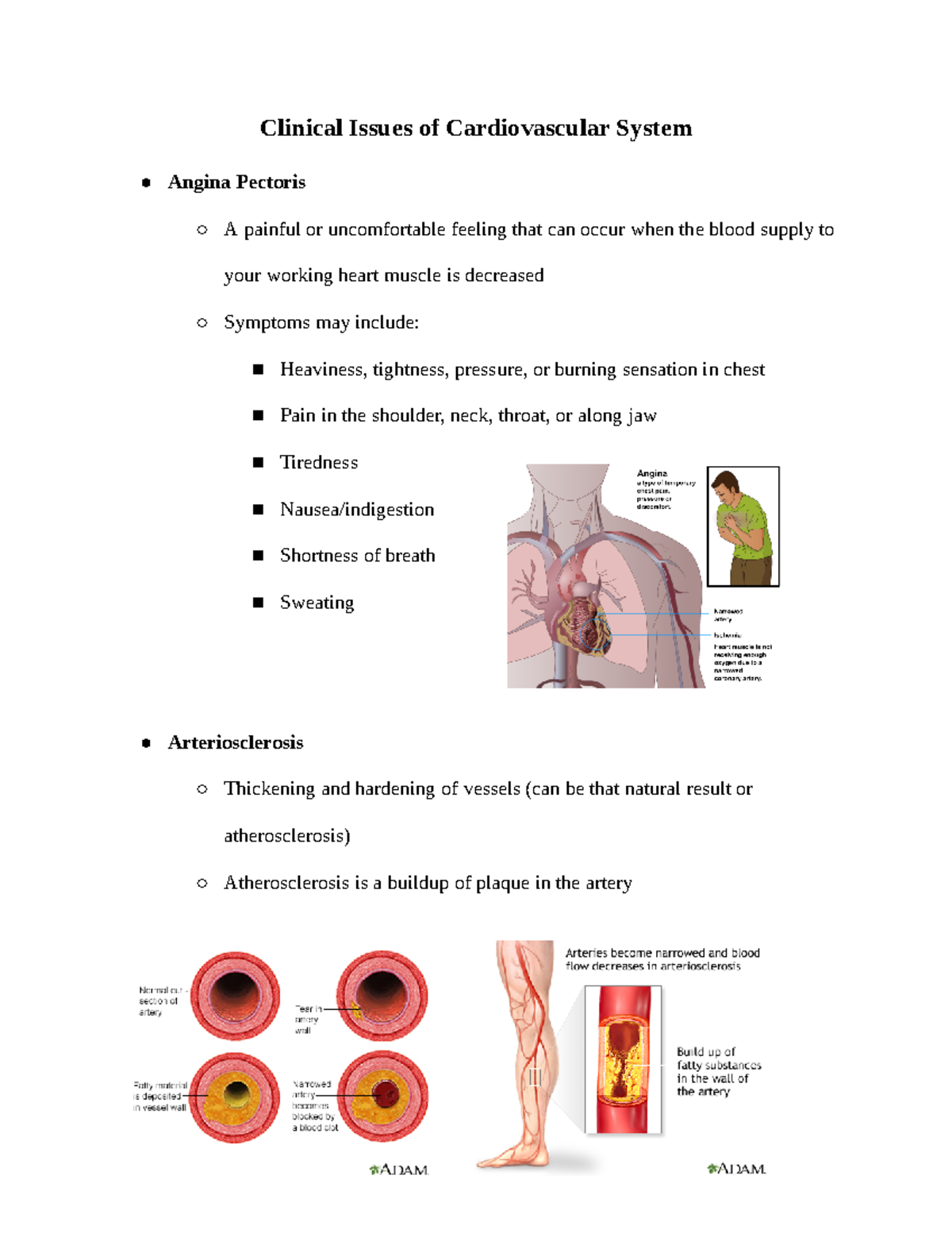 Clinical Issues of Cardiovascular System - Studocu