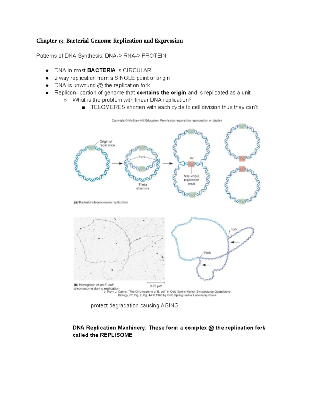 Outline Exam 2 - For Prof. Rigel he's super specific - Chapter 13 ...