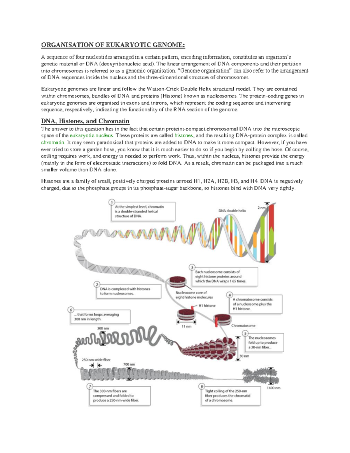 Document 9 - About DNA organization in different organisms ...