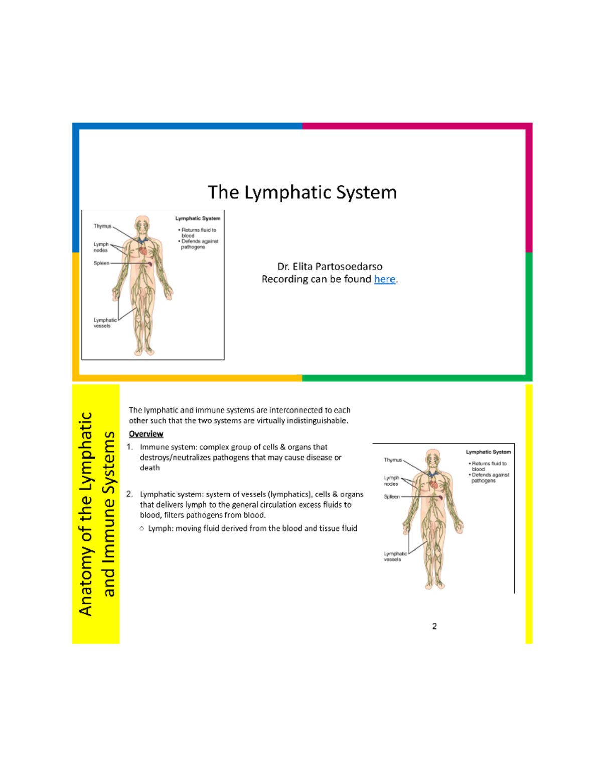 7 Lymphatic System - Lecture note slides - HLSC1201U - Studocu