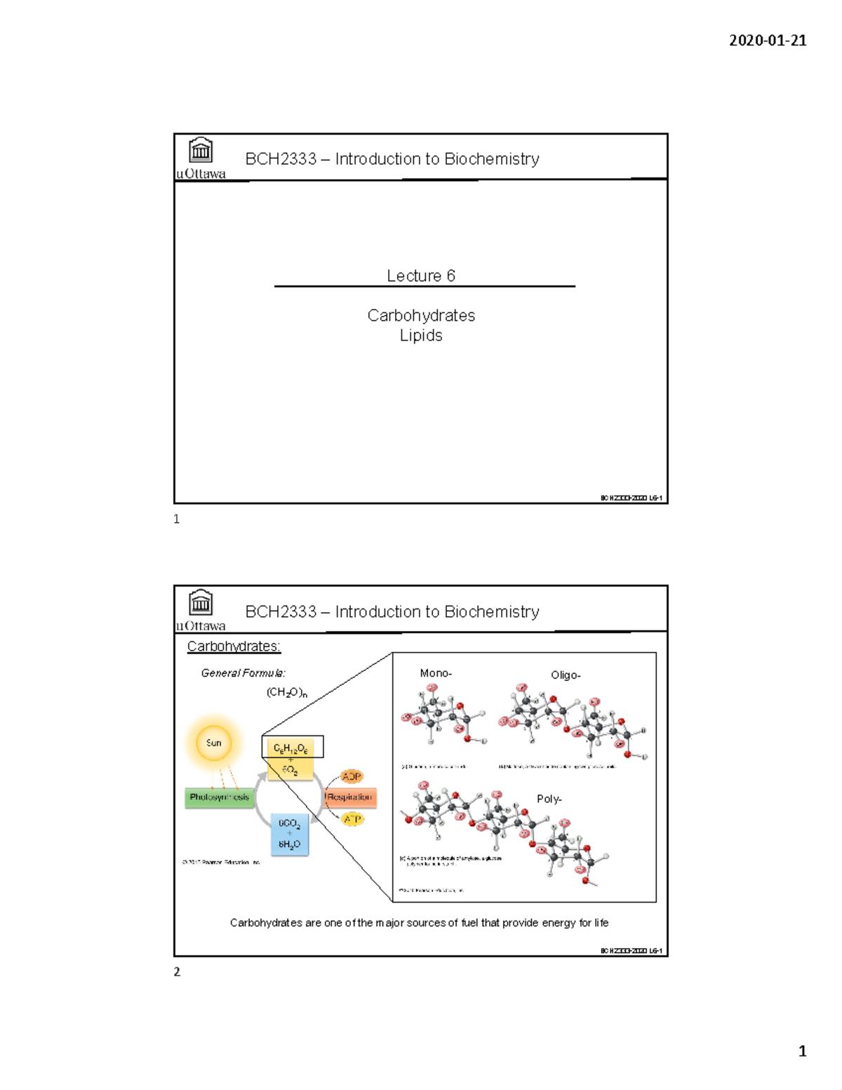Lecture 6 - Warning: TT: undefined function: 32 BCH2333-2020 L6- BCH2333 – Introduction to - Studocu