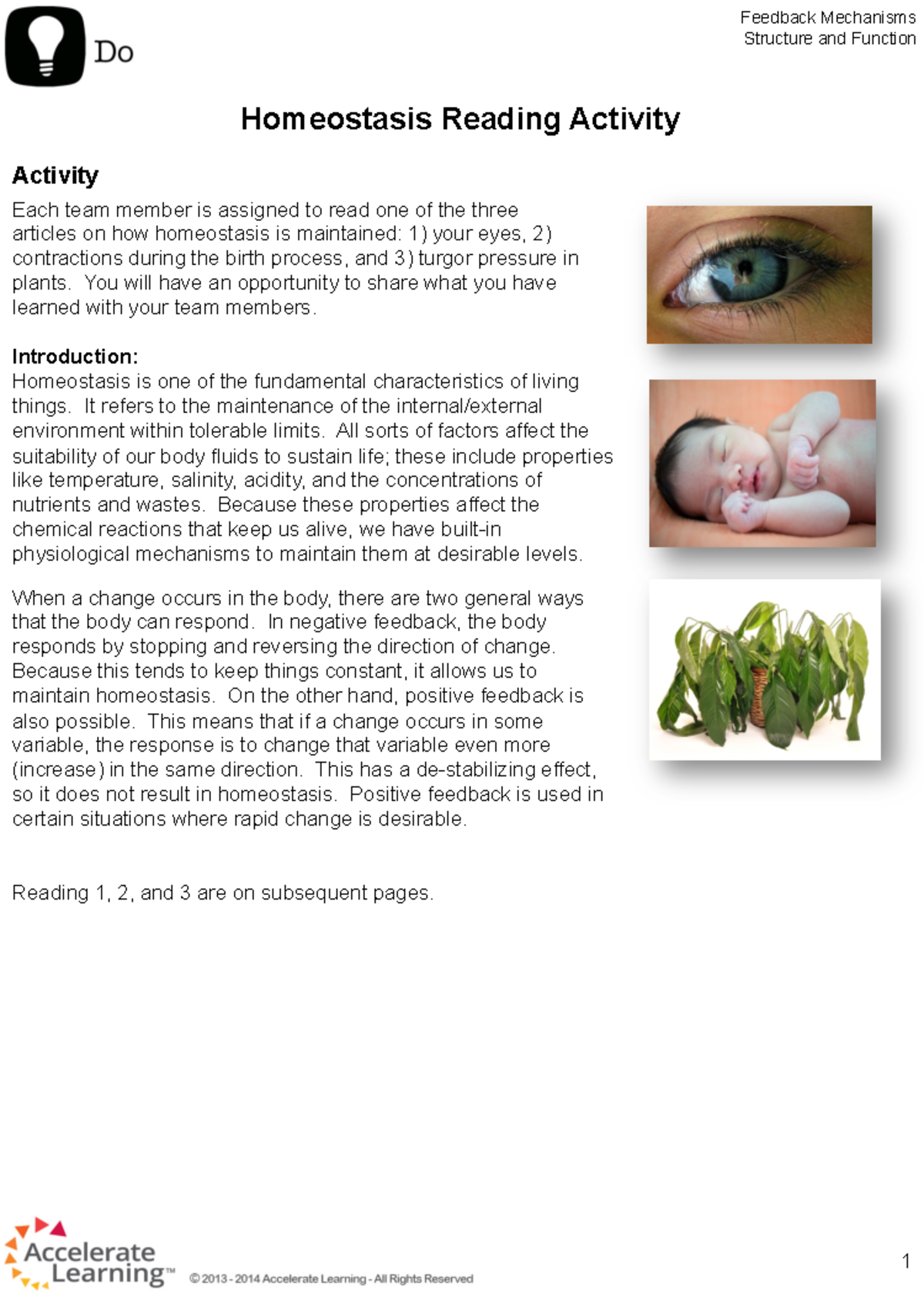 - Homestasis CER - Each team member is assigned to read one of the ...