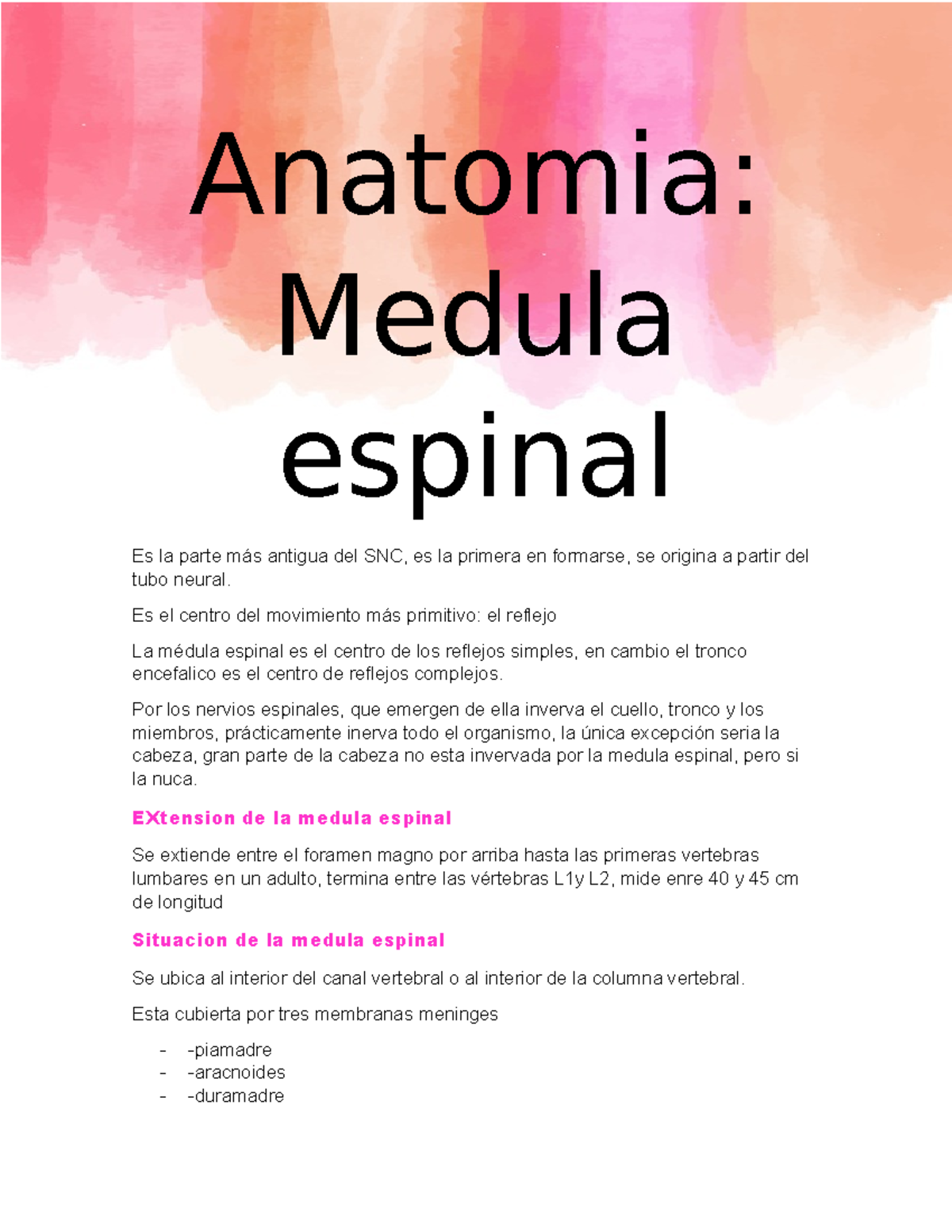 Anatomia, medula espinal - Anatomia: Medula espinal Es la parte más ...