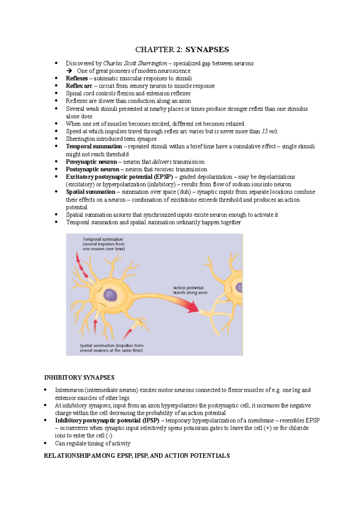 Bio chapter 2 - summary of Week two - CHAPTER 2: SYNAPSES Discovered by Charles Scott ...